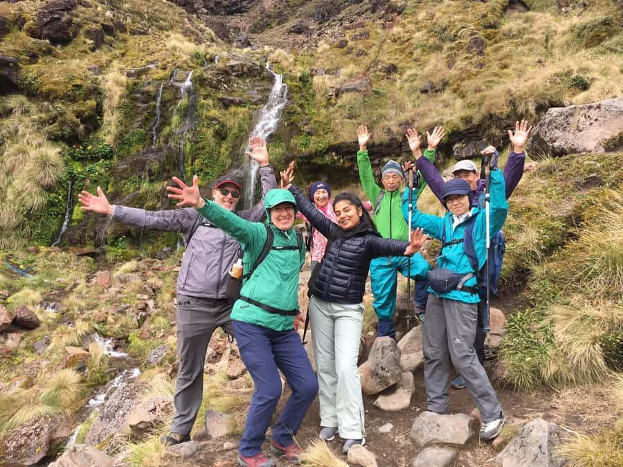 Tongariro Alpine Half Day Guided Group Walk - Transportation and Logistics