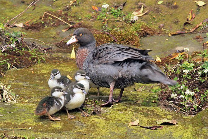 Tongariro Discovery Walk - Final thoughts
