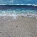 Tongatapu West Coast N East Coast Island Tour - What Could Be Better?