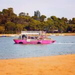 Town 1770: Afternoon Coastline Tour - The Sum Up