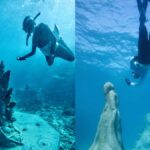 Townsville: Great Barrier Reef and MOUA Snorkeling Day Tour - Practical Details and What to Know