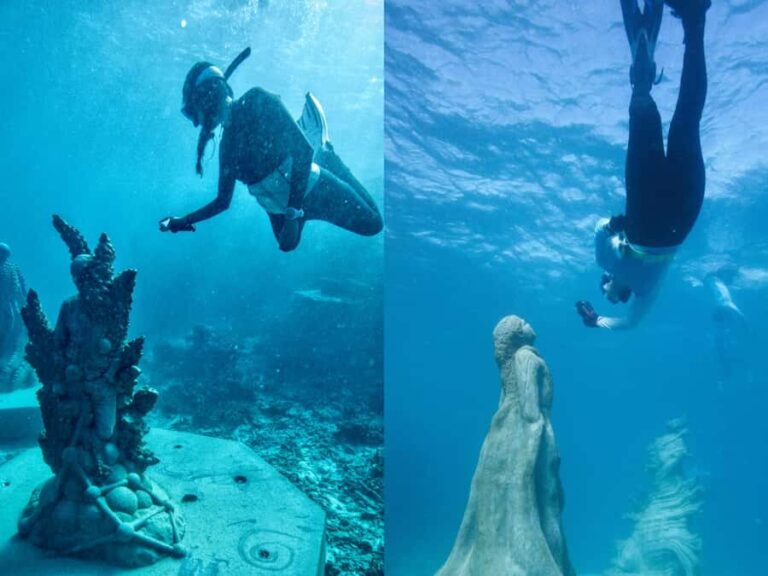 Townsville: Great Barrier Reef and MOUA Snorkeling Day Tour - Practical Details and What to Know