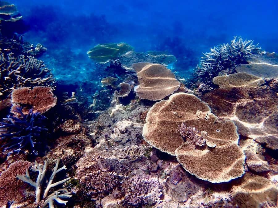 Townsville & Magnetic Island: Reef Explorer Scuba Experience - Why This Tour Is Worth It