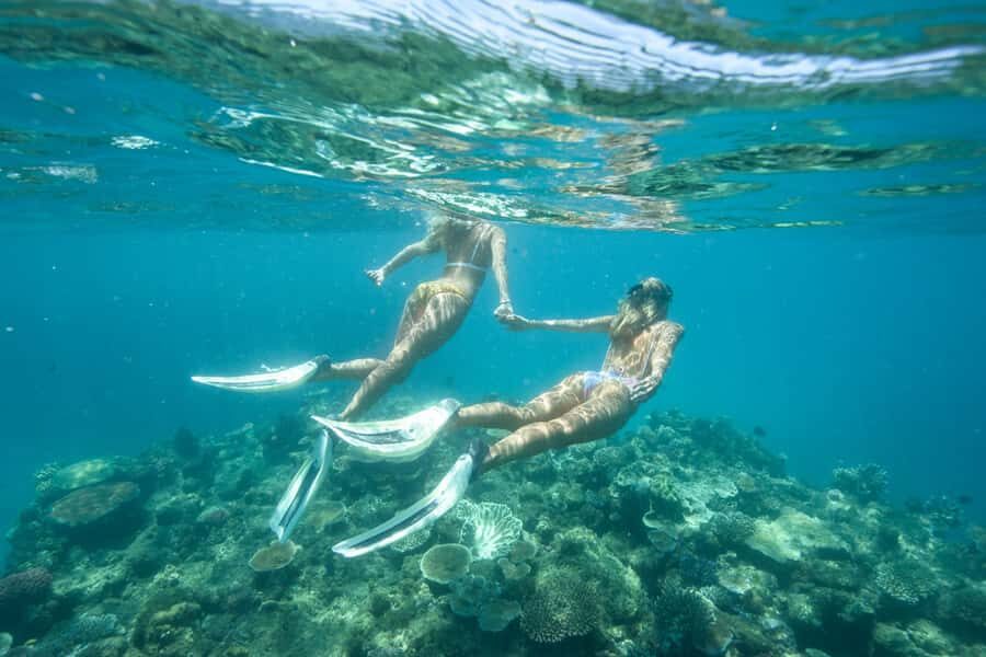Townsville & Magnetic Island: Reef Explorer Snorkel Trip - Final Thoughts: Is This Tour for You?