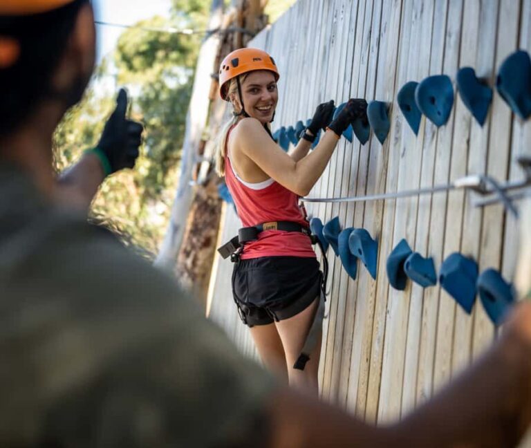 TreeClimb Adelaide: Thrilling Climb For Adventurers - A Closer Look at the Experience