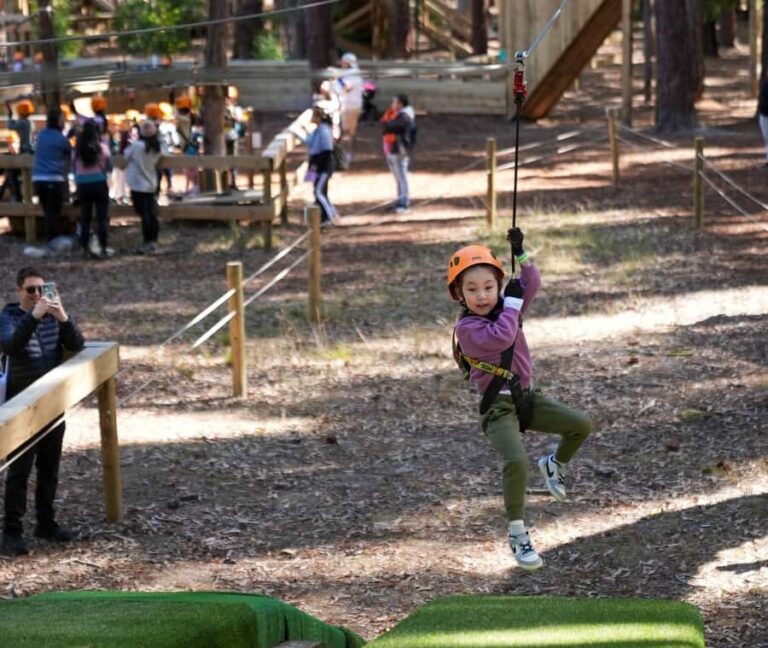 TreeClimb Kuitpo Forest: Treetop Fun For Little Adventurers - What’s Included and How It Works
