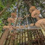 Treetops Adventure The Hills - Tree Ropes Course - Who Should Consider This Experience?