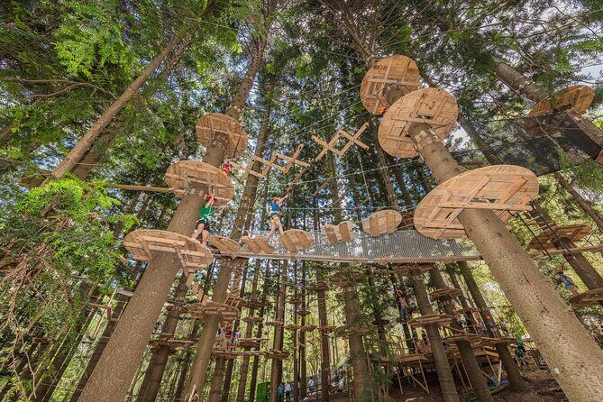 Treetops Adventure The Hills - Tree Ropes Course - Who Should Consider This Experience?