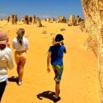 Turquoise Coast and Pinnacles Desert, Lunch Included. - Final Thoughts: Who Will Love This Tour?