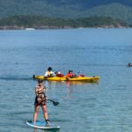 Turtle spotting-Double kayak hire Shingley beach - An In-Depth Look at the Kayak Tour Experience