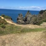 Twharanui- Get away from it all and experience New Zealand at its best - private tour - Analyzing the Value for Money