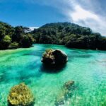 Two Day Classic - The Authenticity and Value