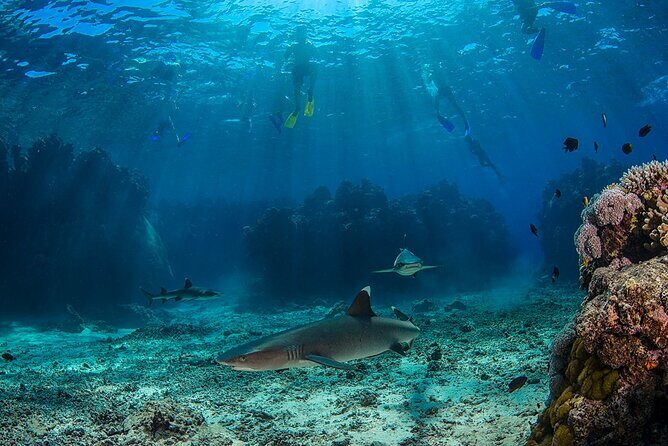 Ultimate Encounters Package - 2 Days | 1 Night - Authentic Experiences and Insider Details