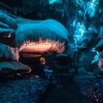 Ultimate Waitomo Glowworm Tour  Private, Tailored, After Dark - What to Expect from the Ultimate Waitomo Glowworm Tour