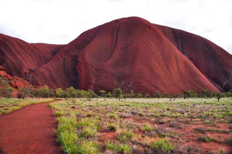 Uluru: Sacred Sites & Sunset Tour with Wine & Cheeseboard - What to Expect: A Breakdown of the Experience