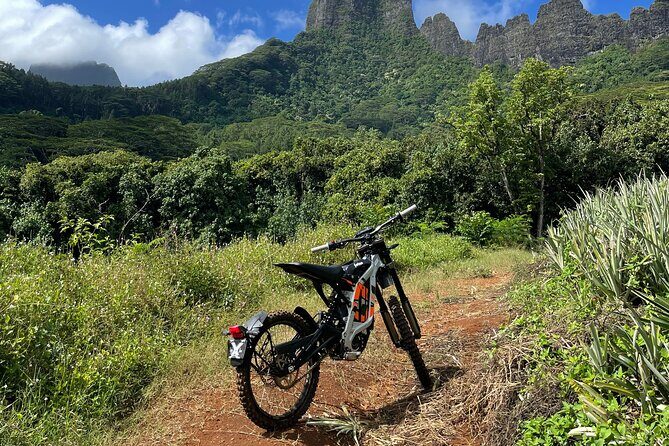 Unique excursion to Moorea on a 100% electric motorbike - The Sum Up