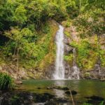UTV 4wd Cassowary Falls and Daintree Rainforest Adventure tour - What Makes This Tour Stand Out?