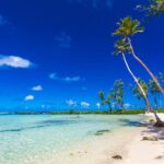 Vanuatu Highlights and Duty Free Shopping - Discovering Efate: What to Expect from Each Stop