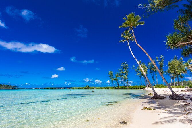 Vanuatu Highlights and Duty Free Shopping - Discovering Efate: What to Expect from Each Stop