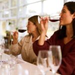 Vineyard Trail Ride and Taste at Jacobs Creek - Authentic Insights from Reviewers