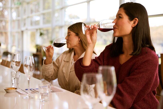 Vineyard Trail Ride and Taste at Jacobs Creek - Authentic Insights from Reviewers