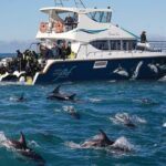 Visit Kaikura from Christchurch (small group Tour) - The Iconic Kaikoura Peninsula Walkway