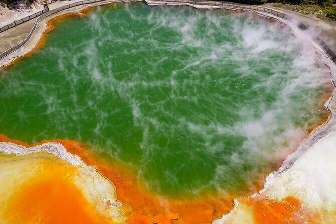 Wai O Tapu Thermal Wonderland with Forest Walk or Forest Spa - Who Will Love This Tour?