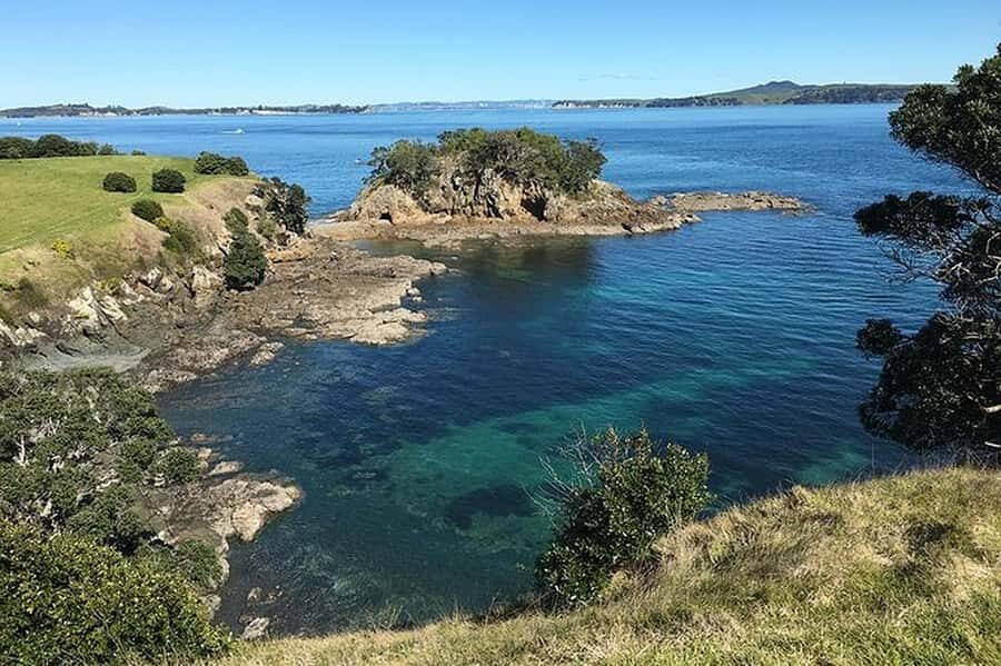 Waiheke Island: Double Headland Premium Guided Coastal Walk - What Sets This Tour Apart?