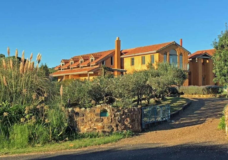 Waiheke Island: Private Art Tour with Lunch - Who Is This Tour Best For?