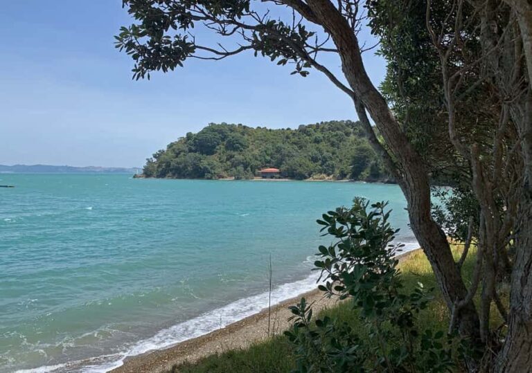 Waiheke Island: Private Guided Te Ara Hura 5-Day Walk - Comfortable, Convenient, and Well-Organized