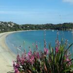 Waiheke Island Private Tours - What to Expect from the Itinerary