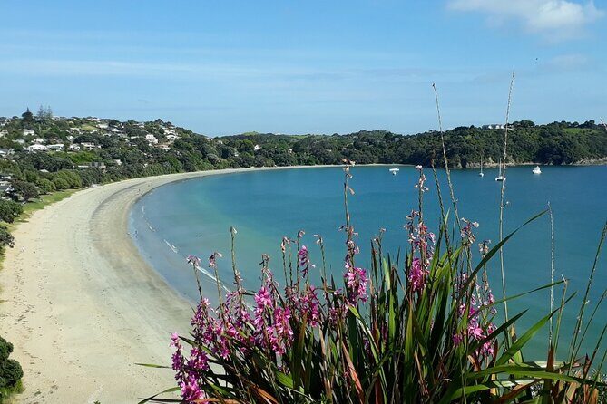 Waiheke Island Private Tours - What to Expect from the Itinerary