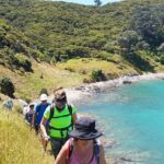 Waiheke Island Self Guided 4 Day Walking Adventure - Accommodation and meals