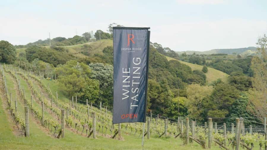Waiheke Island: Wine, Gin, and Olive Oil Tour with Lunch - An In-Depth Look at the Tour Itinerary