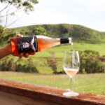 Waiheke Island: Wine Tour & Lunch at Award Winning Venue - Pricing and Value