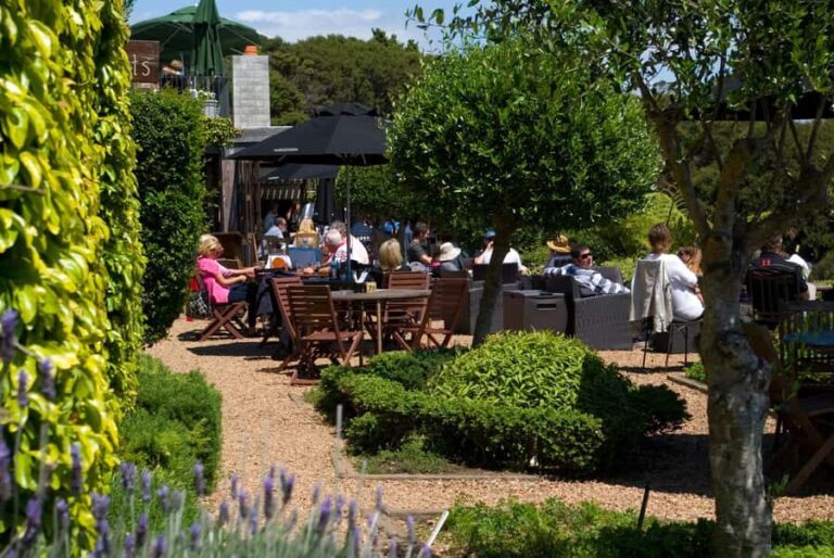 Waiheke Island Wine Tours - PREMIUM Wines - Max 11 clients ! - How This Tour Reflects On Value and Experience