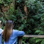 Waihora Bay Shared Tour from Kinloch Marina - Who Is This Tour Best For?