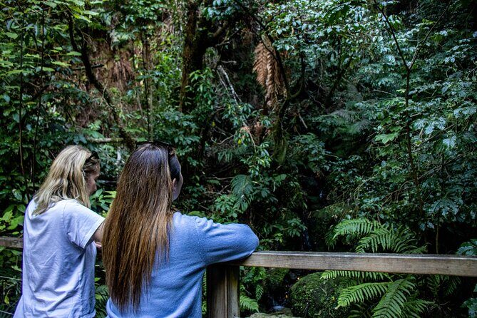 Waihora Bay Shared Tour from Kinloch Marina - Who Is This Tour Best For?