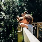 Waikato: Ancient Forest Guided Tour - Introduction to Sanctuary Mountain and Its Significance