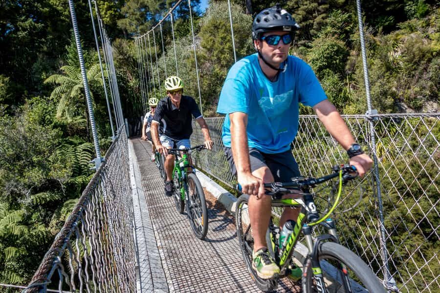 Waikato: Half-Day Karpiro River Trail Bike Tour - Trail Highlights: Scenic Views and Unique Features