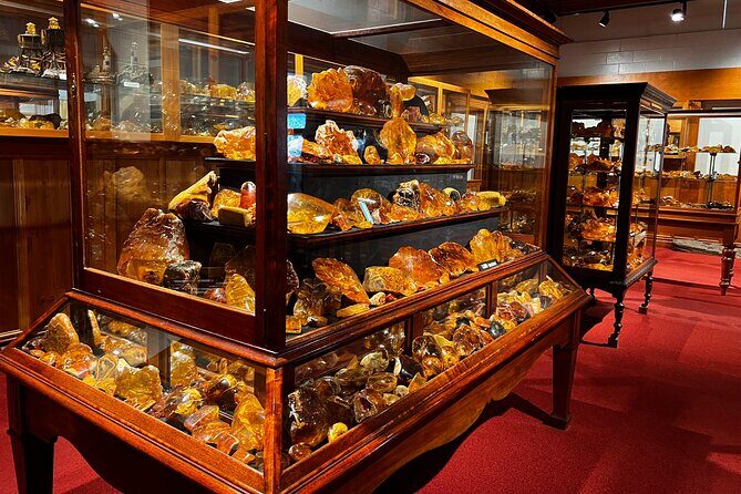 WAIPOUA FOREST Tane Mahuta & KAURI MUSEUM Day Tour from Auckland - Authentic Insights from Travelers