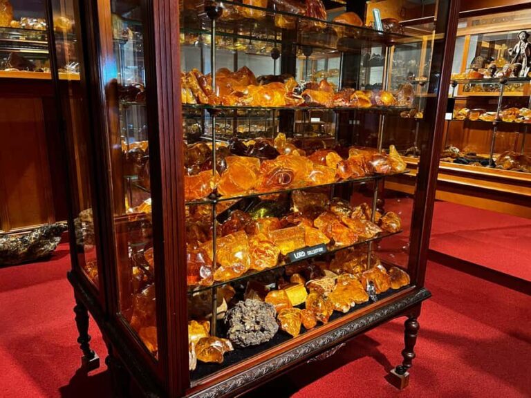 Waipoua KAURI Forest, Tane Mahuta & Museum Tour Ex Auckland - Why This Tour Offers Value