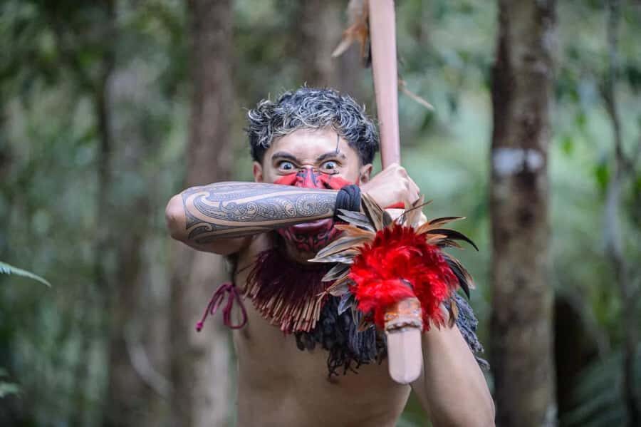 Waitangi Treaty Grounds Day Tour From Auckland - An In-Depth Look at the Tour Experience