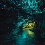 Waitomo Caves, Zealong Tea & Kiwi House Private Tour - The Itinerary: What You’ll Do and Why It Matters
