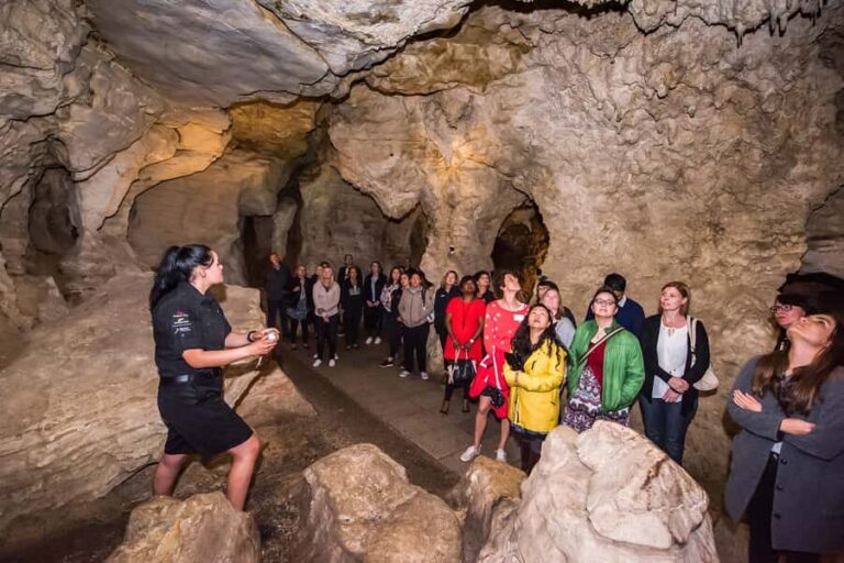 Waitomo: Glowworm Caves Guided Tour by Boat