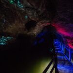 Waitomo Glowworm & Ruakuri Twin Cave - Private Tour From Auckland - Analyzing the Value