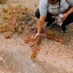 Walk at Lake Monjinup - Final Thoughts