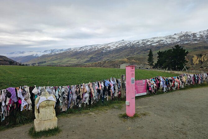 Wanaka Private Day Trip from Queenstown: TravelnGo - FAQ