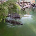 Wander the Tamar Valley - What Makes This Tour Stand Out?