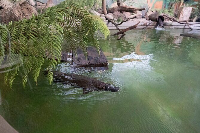 Wander the Tamar Valley - What Makes This Tour Stand Out?